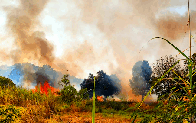 Burning out of Control | VISUAL THAILAND